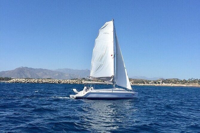 Los Cabos Platinum Snorkel Experience - What the Reviews Say (Based on Feedback)