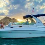 Los Cabos Private Yacht Whale Watching Tour, Snorkel and Drinks - Who Will Love This Tour?