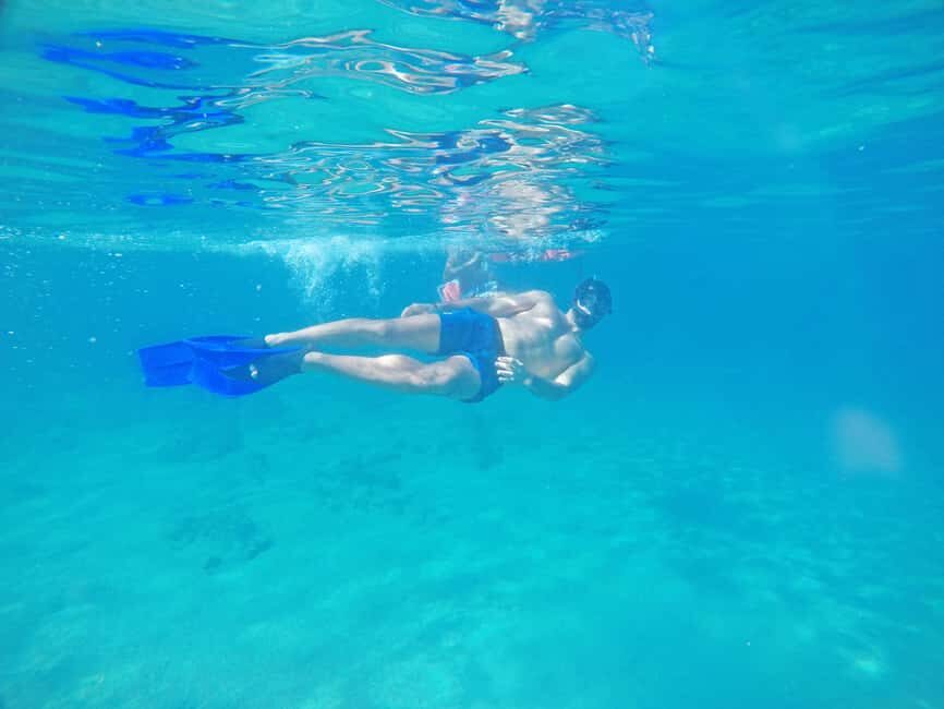 Los Cabos: Snorkeling Cruise with Lunch - Who Will Love This Tour?