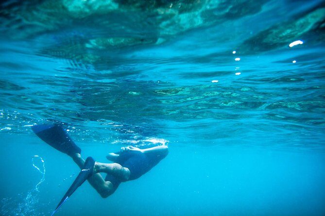 Los Cabos Snorkeling Tour to Chileno Bay and Santa Maria Cove - Why This Tour Delivers Real Value