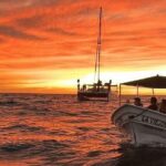 Los Cabos Sunset Boat Tour - Final Thoughts