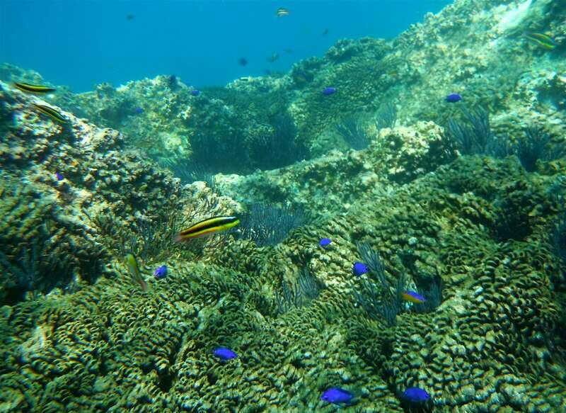 Los Cabos: The Arch and Lover's Beach Kayaking + Snorkeling - Experience Highlights and Considerations