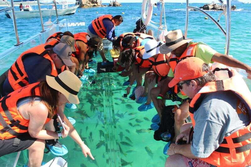 Los Cabos: Transparent Boat Tour with Optional City Tour - Detailed Itinerary
