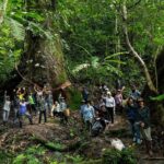 Lost in Chiang Mai: Secret Village, Hot Spring & Waterfall - A Cultural Therapy - An In-Depth Look at the Tour Experience