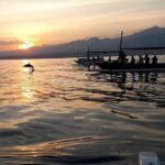 Lovina Sunrise Dolphin with option snorkeling and waterfall - Final Thoughts