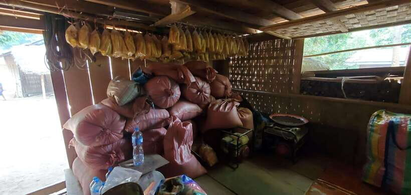 Luang Prabang: 3 Days Ethnic Forest Living - Mekong - Deep Dive into the Experience