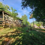 Luang Prabang: Authentic Lao Village & Farm Experience Day - Analyzing the Value