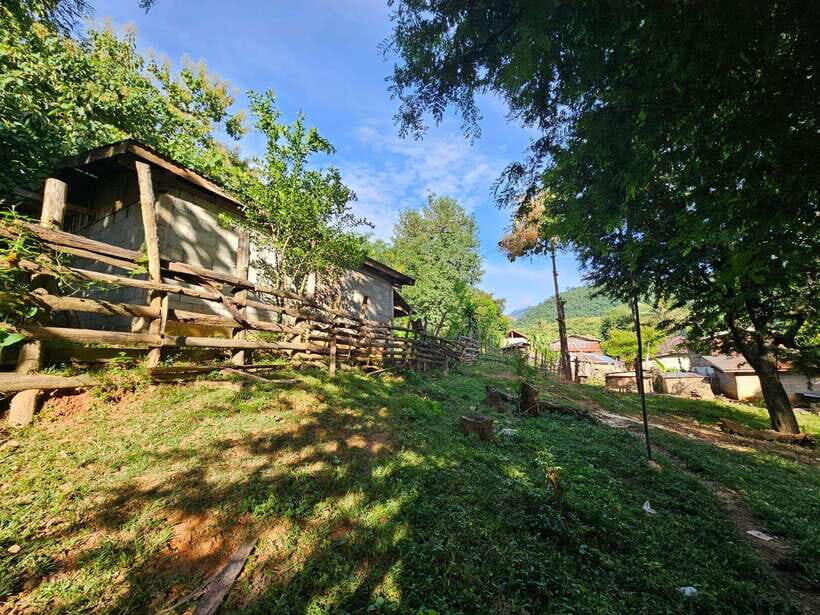 Luang Prabang: Authentic Lao Village & Farm Experience Day - Analyzing the Value