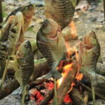 Luang Prabang: Forest Camping Experience with Cooking Class - Itinerary Breakdown: A Day of Nature and Culture