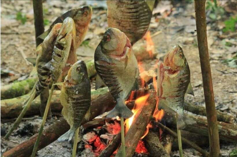 Luang Prabang: Forest Camping Experience with Cooking Class - Itinerary Breakdown: A Day of Nature and Culture