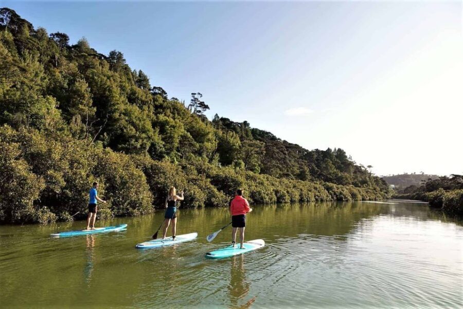 Lucas Creek Waterfall SuP Tour - What Makes This Tour Stand Out