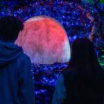 LUMA Enchanted Whimsical Sensory night walk - FAQs about the LUMA Night Walk in Queenstown