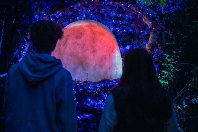 LUMA Enchanted Whimsical Sensory night walk - FAQs about the LUMA Night Walk in Queenstown