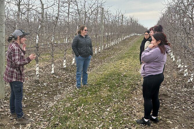 Lunch and Tour of an Apple Orchard with a Farmer in Elyria - What Real Travelers Say