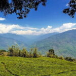 Lush Malabar Coast And Colorful Kerala - A 6 Day Private Tour - Practical Details and Value Analysis