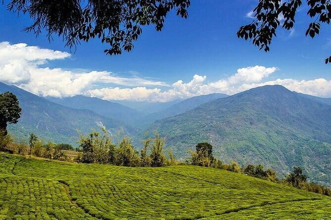 Lush Malabar Coast And Colorful Kerala - A 6 Day Private Tour - Practical Details and Value Analysis