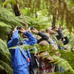 Luxe Bus Great Ocean Road Coastal Spectacular - Authentic Experiences and Genuine Value