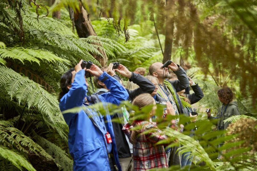 Luxe Bus Great Ocean Road Coastal Spectacular - Authentic Experiences and Genuine Value