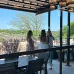 Luxe Hill Country Private Wine Adventure with Gourmet Lunch - Who Is This Tour Best For?