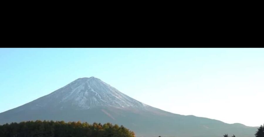 Luxury Benz Private Day Trip to Mount Fuji with Guide - The Sum Up: Is This Tour Right for You?