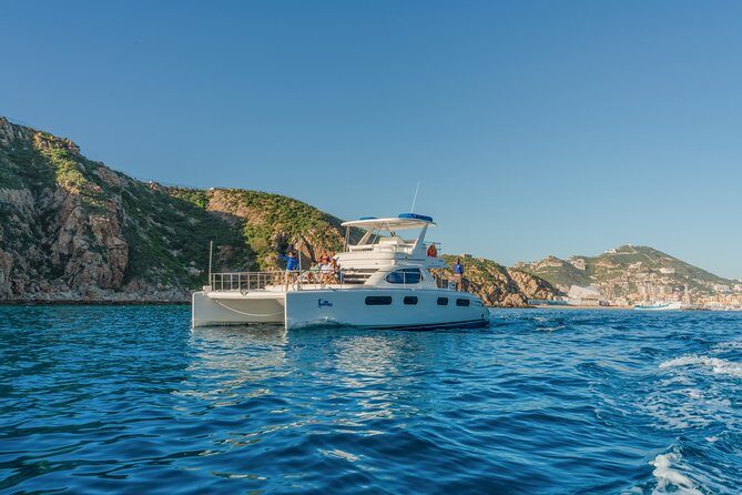 Luxury Catamaran Whale Watching Cabo San Lucas - What We Loved About the Experience
