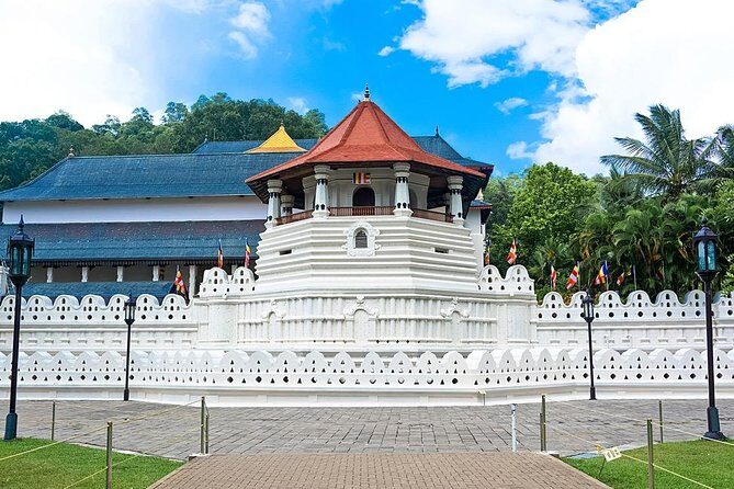 Luxury Escape to Sri Lanka 5 Nights 6 Days - The Itinerary Breakdown: What to Expect