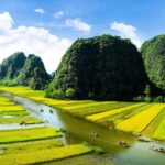 Luxury Hoa Lu Tam Coc Mua Cave 1 Day With Limousine Bus And Lunch - Lunch: Tasting Vietnam’s Flavors