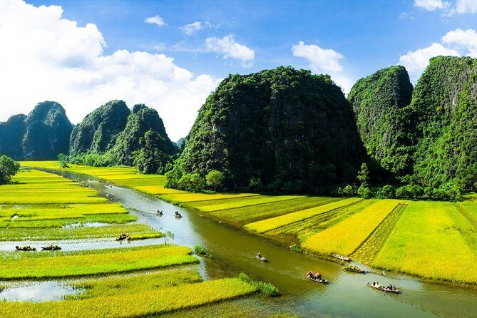 Luxury Hoa Lu Tam Coc Mua Cave 1 Day With Limousine Bus And Lunch - Lunch: Tasting Vietnam’s Flavors