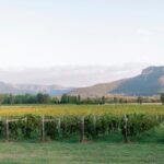 Luxury Hunter Valley Wine Tour with Fine Dining - Who Will Love This Tour?