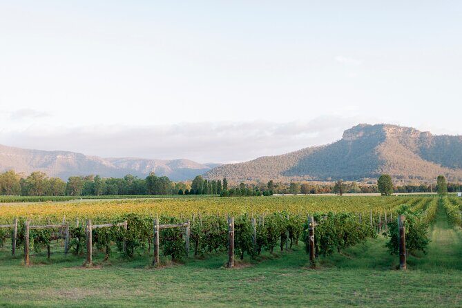Luxury Hunter Valley Wine Tour with Fine Dining - Who Will Love This Tour?
