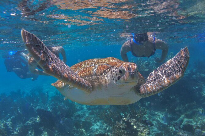 Luxury Sailing & Snorkeling Experience from Riviera Maya - The Experiences Balance: Pros and Cons