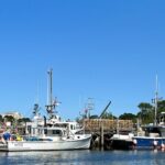 Luxury Semi-Private 4 Guest Seaside & Coastal eBike Tour |3-3.5Hr - What to Expect from the Experience