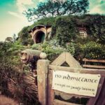 Luxury Small group tour from Auckland to Hobbiton Movie Set - What You Can Expect from the Itinerary