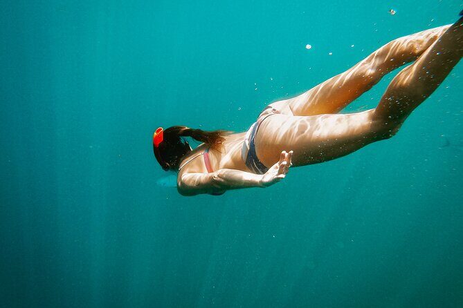 Luxury Snorkel Adventure in Cabo - Why This Tour Offers Excellent Value
