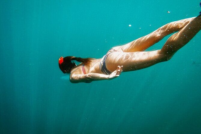Luxury Snorkeling Tour in Cabo San Lucas - What’s Included and What’s Not