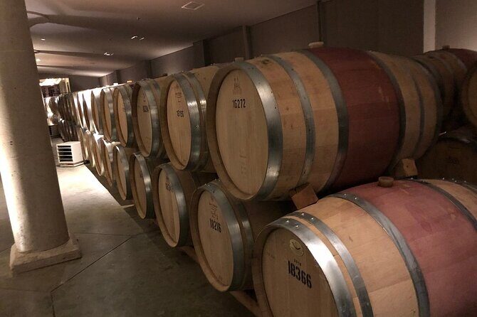 Luxury Wine Tours to Niagara On The Lake - What Makes This Tour Stand Out?