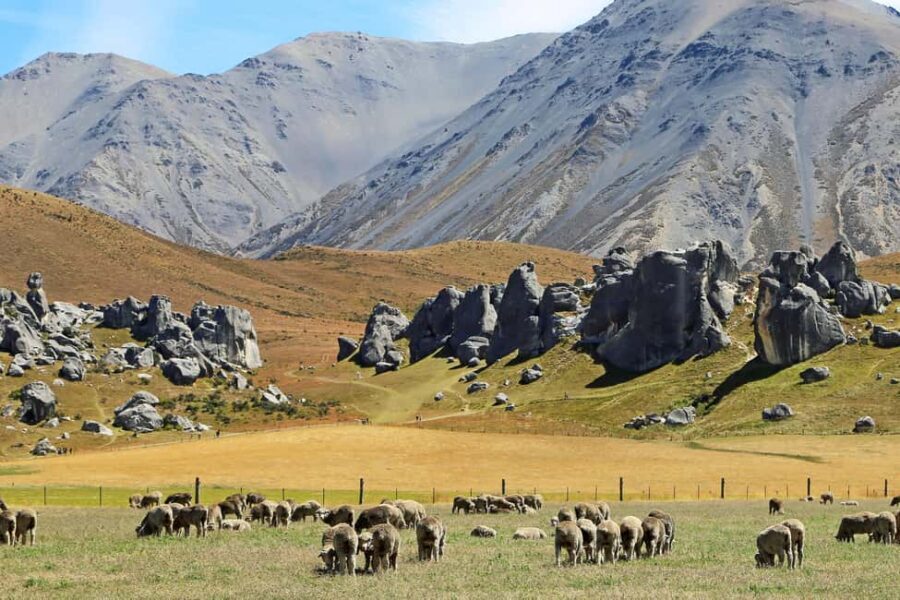 Lyttelton: Shore Excursion, Castle Hill & Inland Canterbury - What the Tour Includes and Practical Details