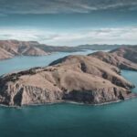 Lyttelton: Shore Excursion, Godley Head, Guided Walk - Value for Money