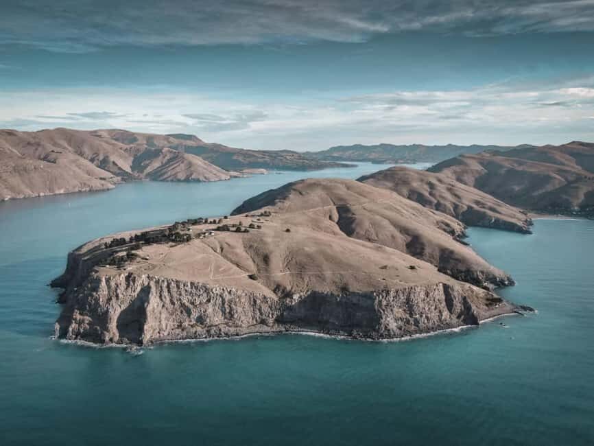 Lyttelton: Shore Excursion, Godley Head, Guided Walk - Value for Money