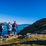 Lyttelton Shore Excursion - Guided Walking Tour and Picnic - Why Travelers Love This Tour