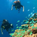 Maafushi: Discover Scuba Diving Class, First Time Experience - What Makes This Tour Valuable?