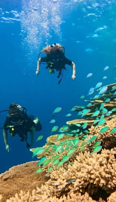 Maafushi: Discover Scuba Diving Class, First Time Experience - What Makes This Tour Valuable?