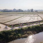 Mad Monkey Hoi An: Bicycle Tour - Details and Practicalities