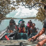 Madu River Boat Safari - A Detailed Look at the Madu River Boat Safari