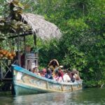 Madu River Boat Safari Balapitiya - Practical Details and Booking Experience