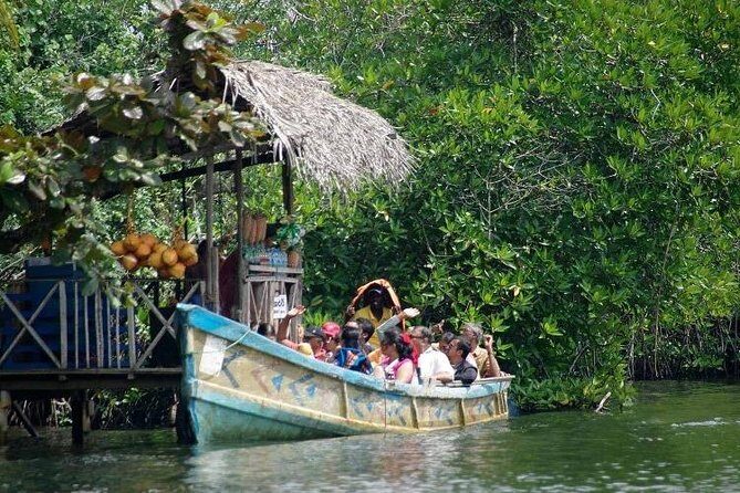 Madu River Boat Safari Balapitiya - Practical Details and Booking Experience