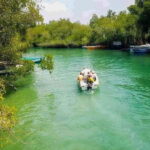 Madu River Boat Tour and Cinnamon Garden visit - What Makes This Tour Stand Out?