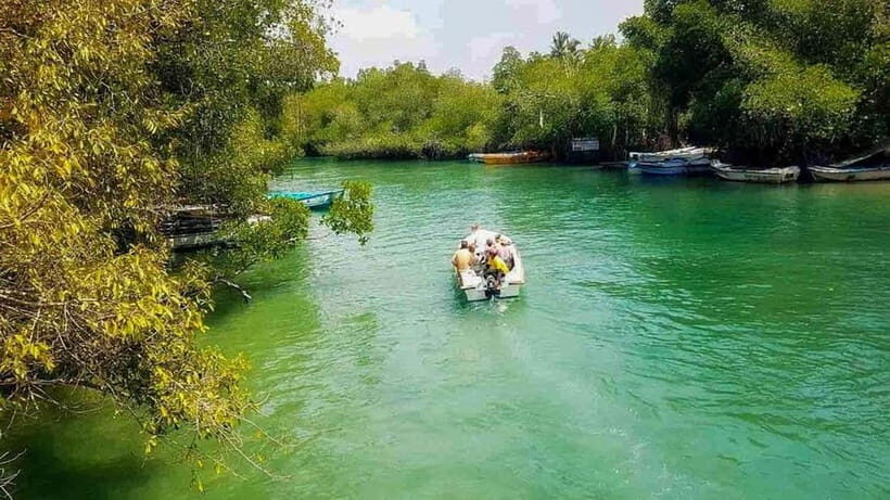 Madu River Boat Tour and Cinnamon Garden visit - What Makes This Tour Stand Out?
