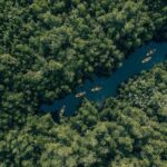 Madu River Sunrise Mangrove Kayaking from Bentota - Analyzing What Makes This Tour Good Value