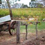 Maggie Beer Farm - Barossa Valley Regional Tour - Who Would Enjoy This Tour?